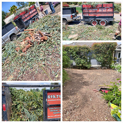 Garbage pickup and grass removal service | Acosta Services Junk Removal